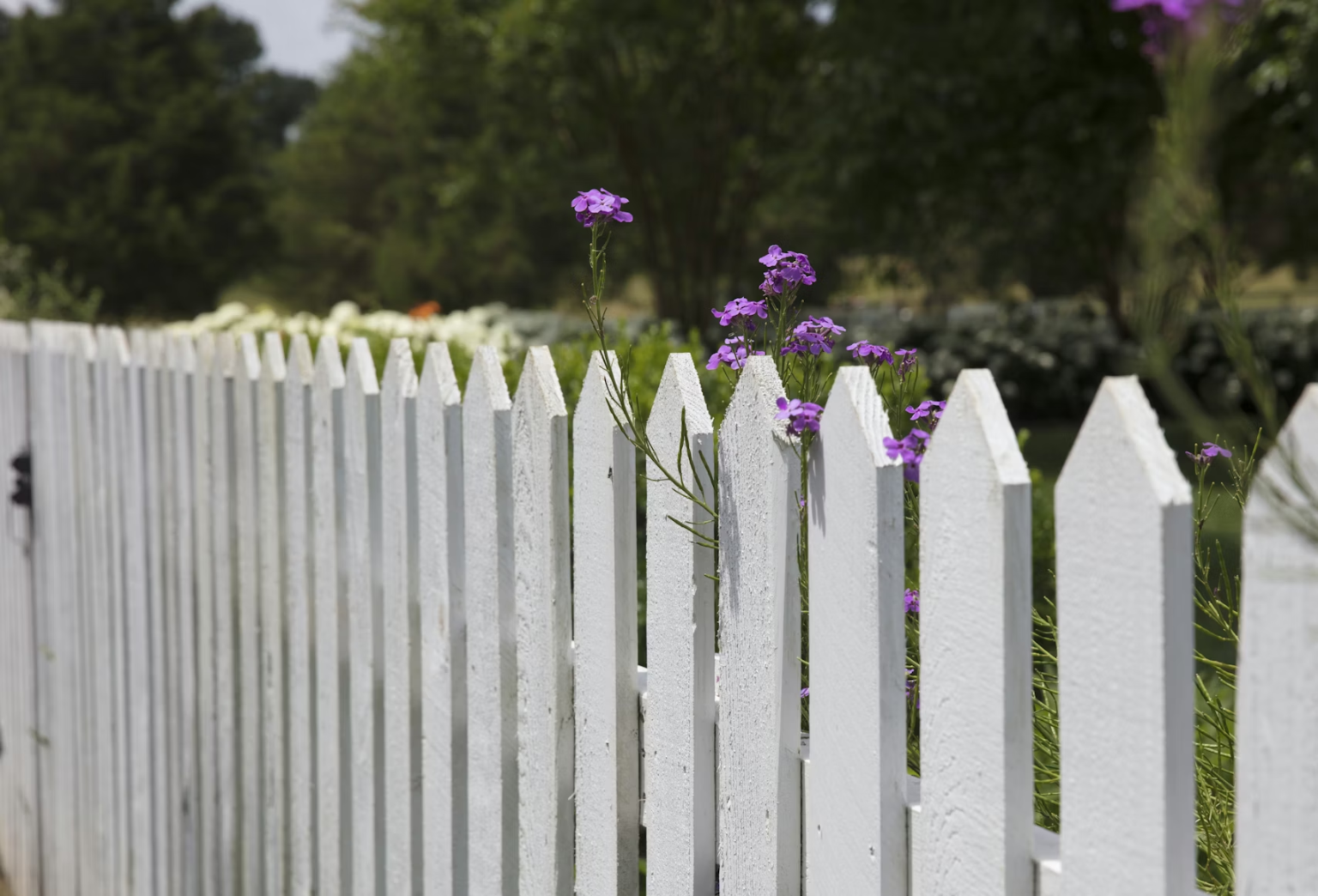 A Practical Guide to Fences and Their Different Types - Awe.some